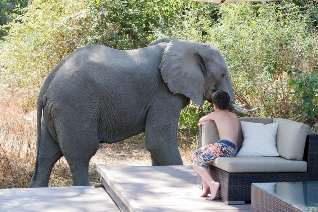 Big Changes at Beloved South Luangwa Camp