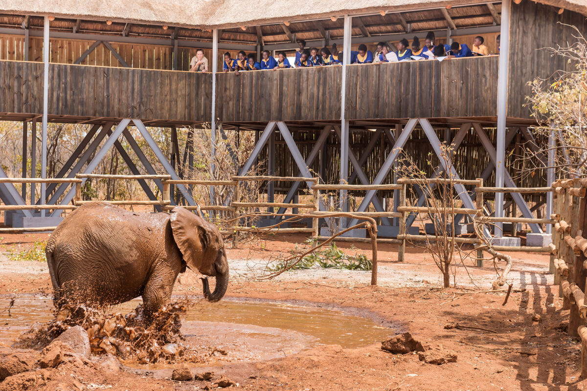 Game Rangers International