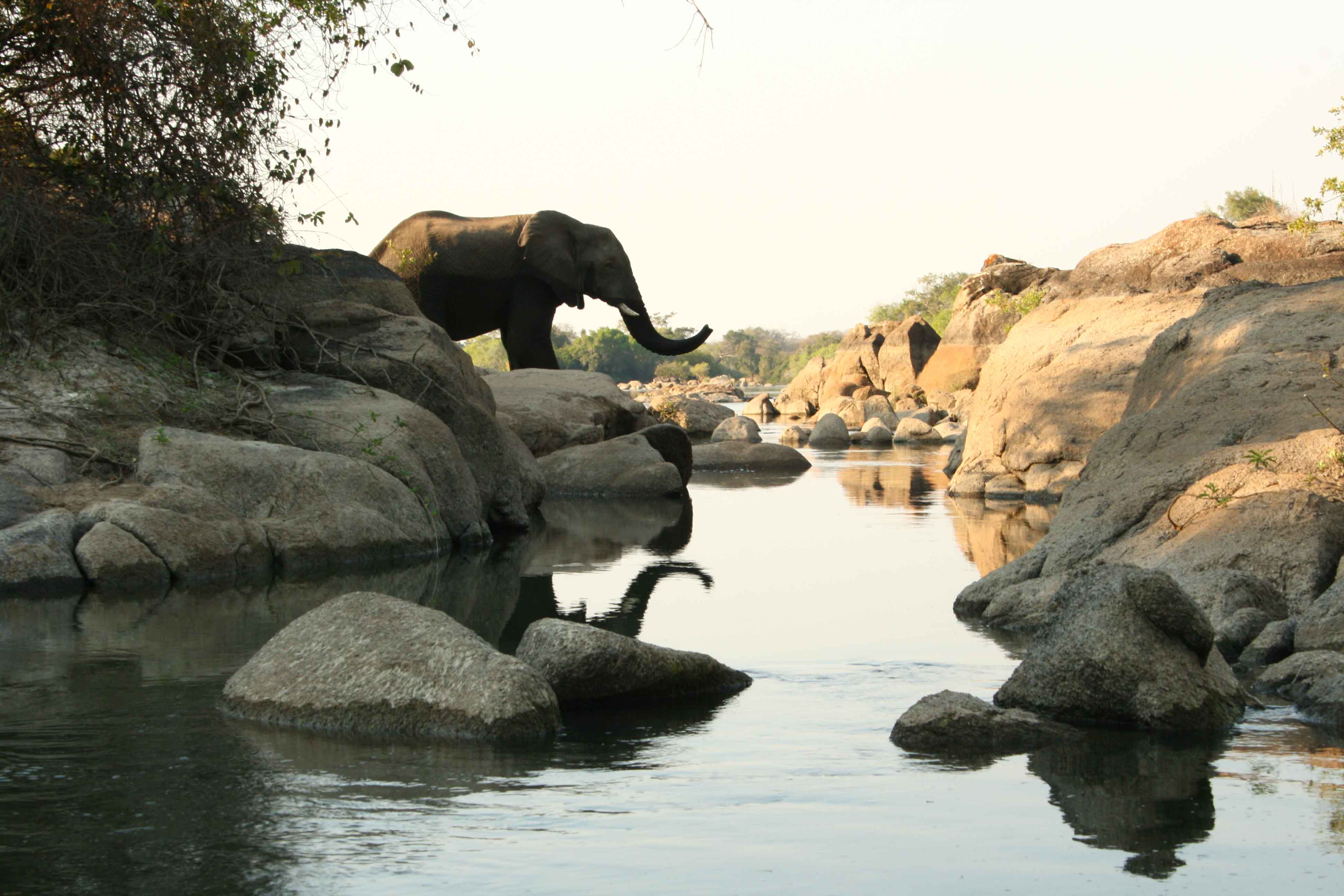 Why the Kafue? - Zambia Tourism