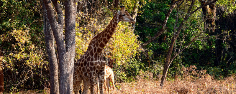 Kabwe | Zambia Tourism