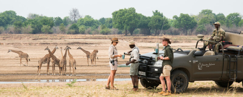 Kaingo Camp - Zambia Tourism