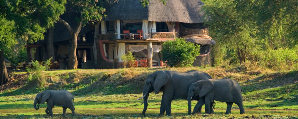 Luangwa Safari House - Zambia Tourism