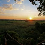 Kasanka National Park - Zambia Tourism