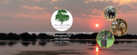 Raintree Camp - Zambia Tourism