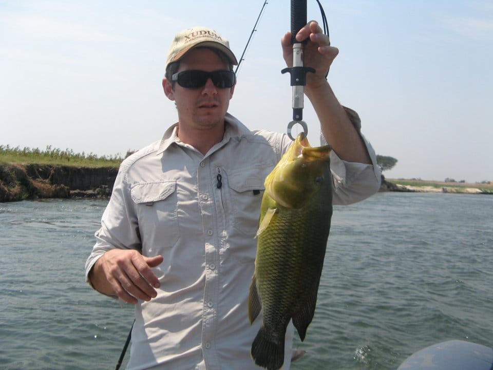 Zambezi Tiger Fishing
