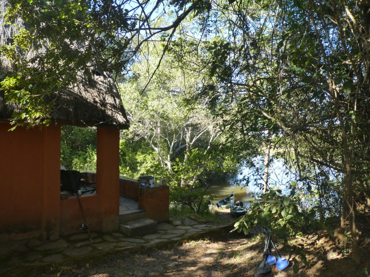 Exploring Kasanka National Park - Zambia Tourism