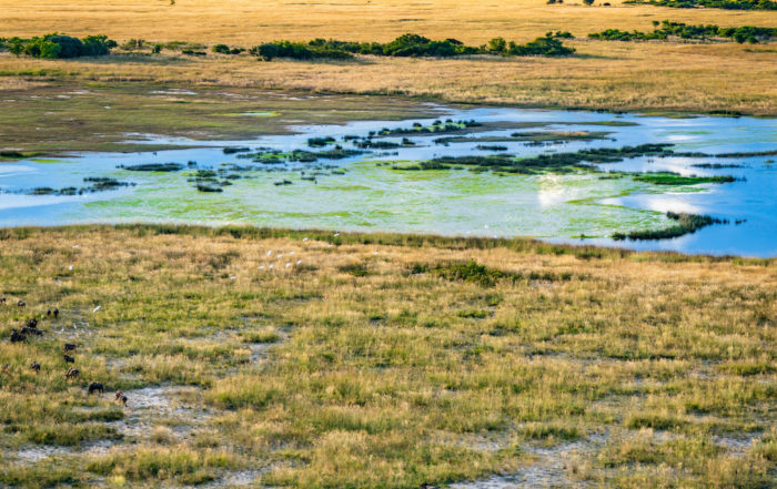 Liuwa Plain National Park