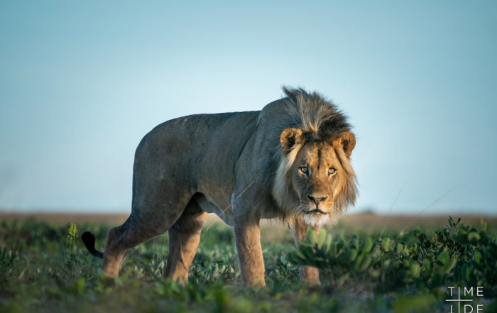 Liuwa Plain National Park