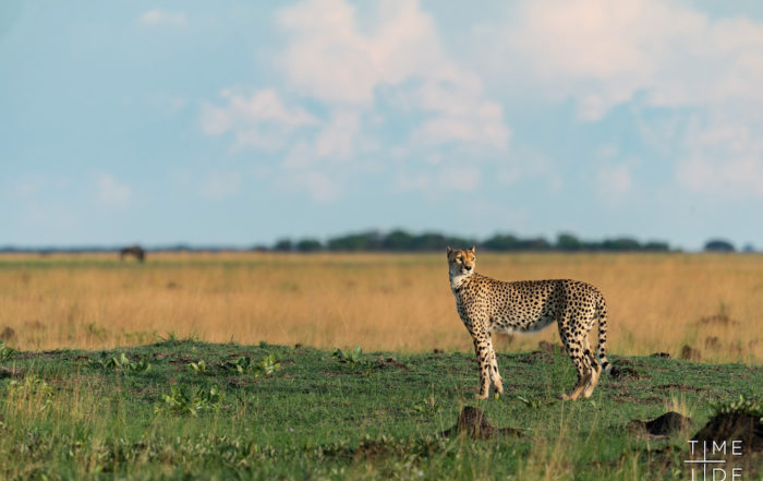 Liuwa Plain National Park