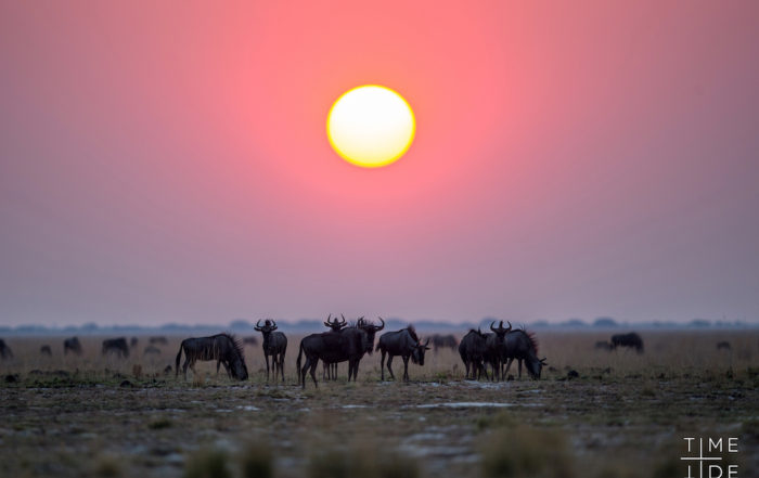 Liuwa Plain National Park