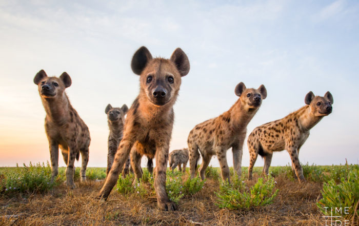 Liuwa Plain National Park