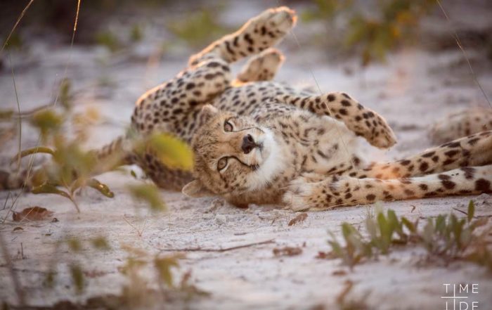 Liuwa Plain National Park