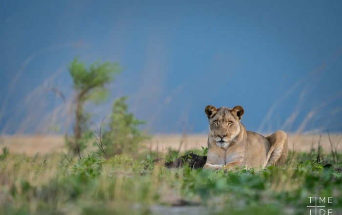 Liuwa Plain National Park