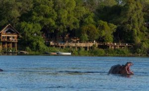 Top 5 Fascinating Facts About the Zambezi River