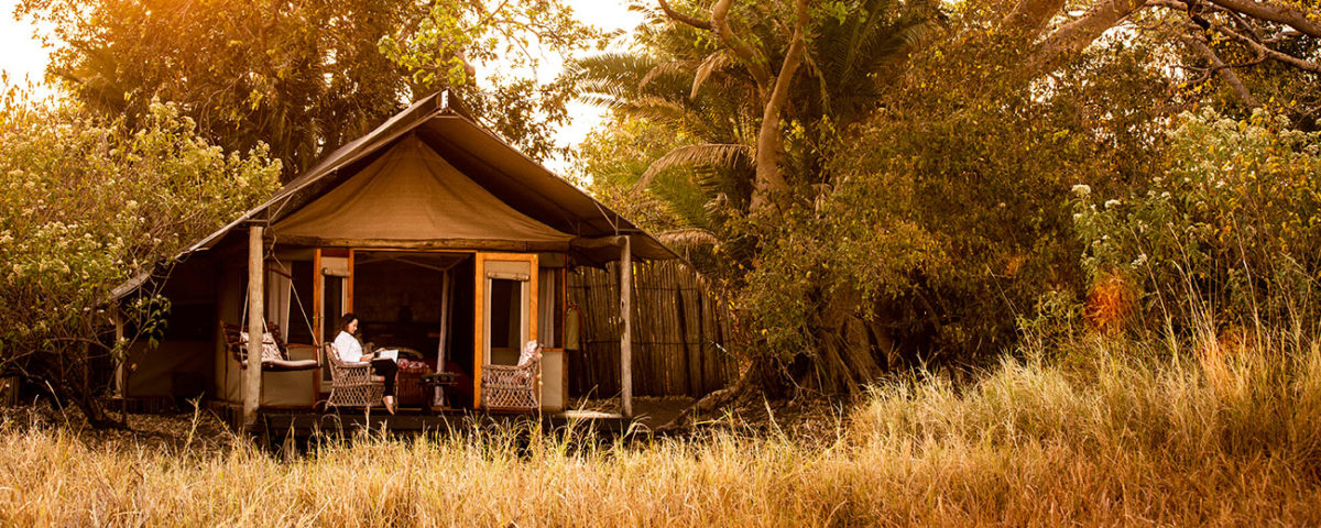 Busanga Bush Camp - Zambia Tourism
