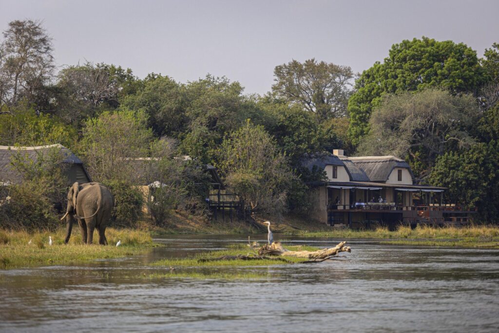 A Zambian First for Royal Zambezi Lodge
