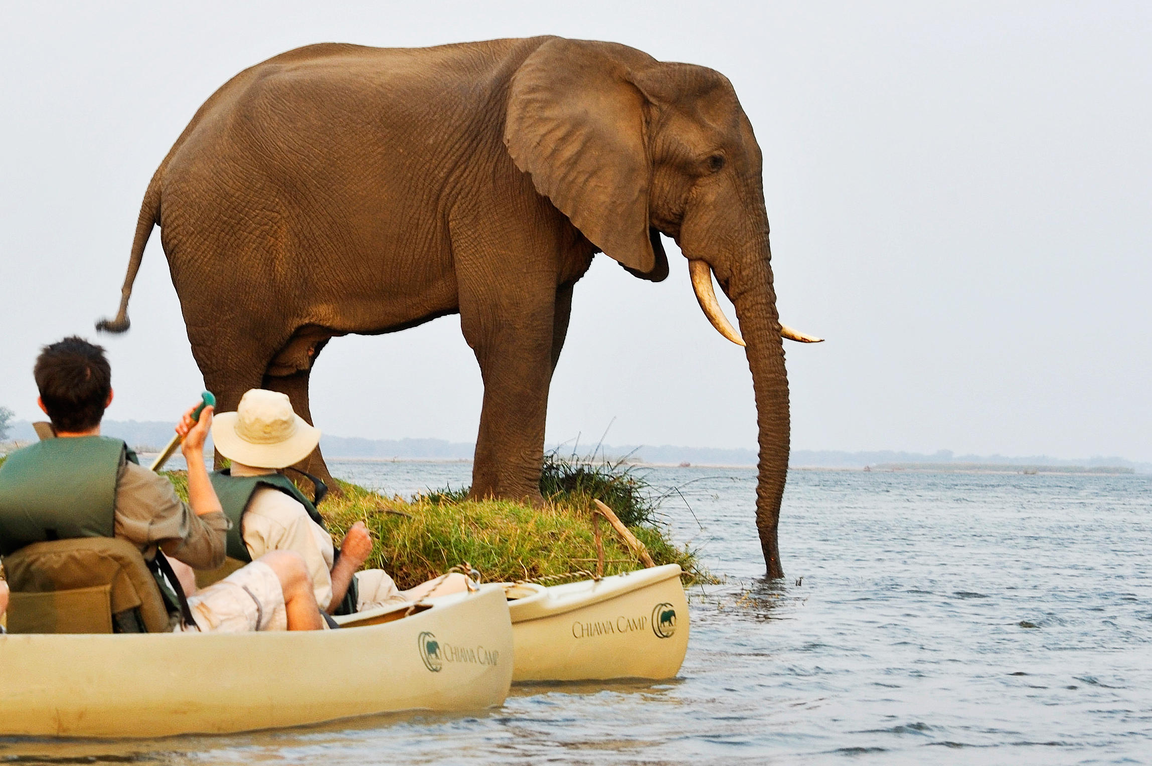2026 Deals and Specials for Lower Zambezi