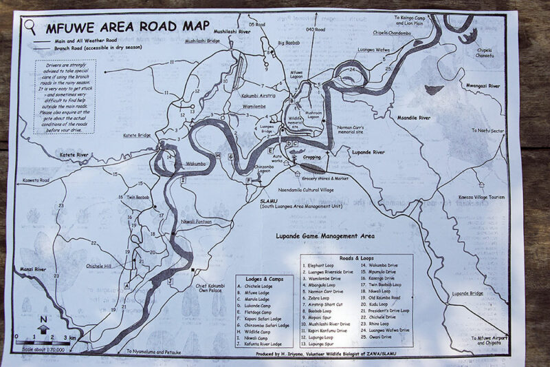 Navigation and Driving