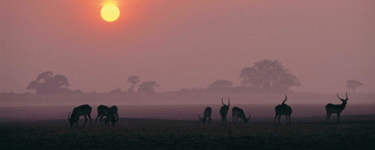 Barotse Flood Plains