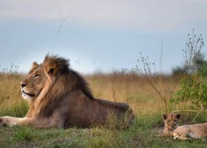 Bungee Jumping Locations and Companies/Operators in Zambia