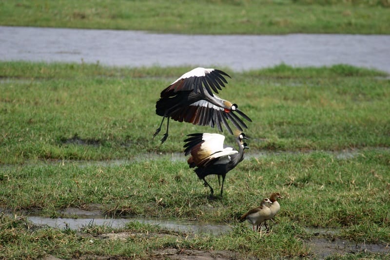 West Lunga National Park Activities - Zambia Tourism